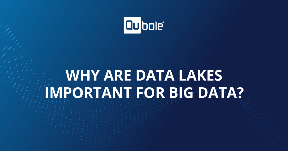 Data Lakes for Big Data | Qubole